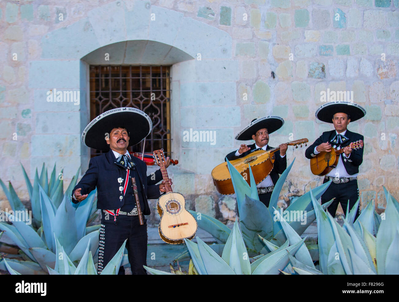 Day of the dead mexico mariachi hi-res stock photography and images - Alamy