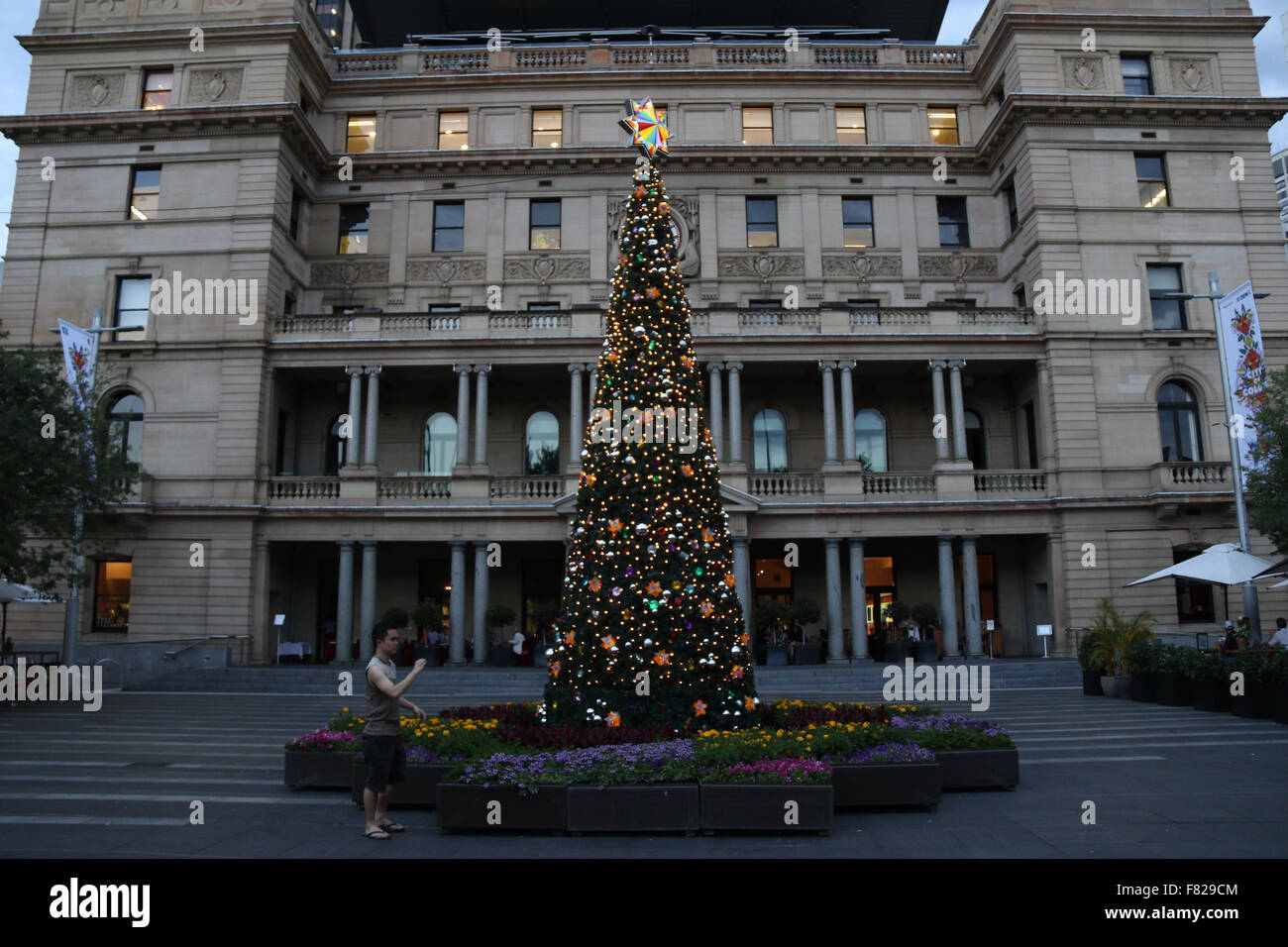 Sydney Christmas Tree Stock Photos & Sydney Christmas Tree Stock Images ...
