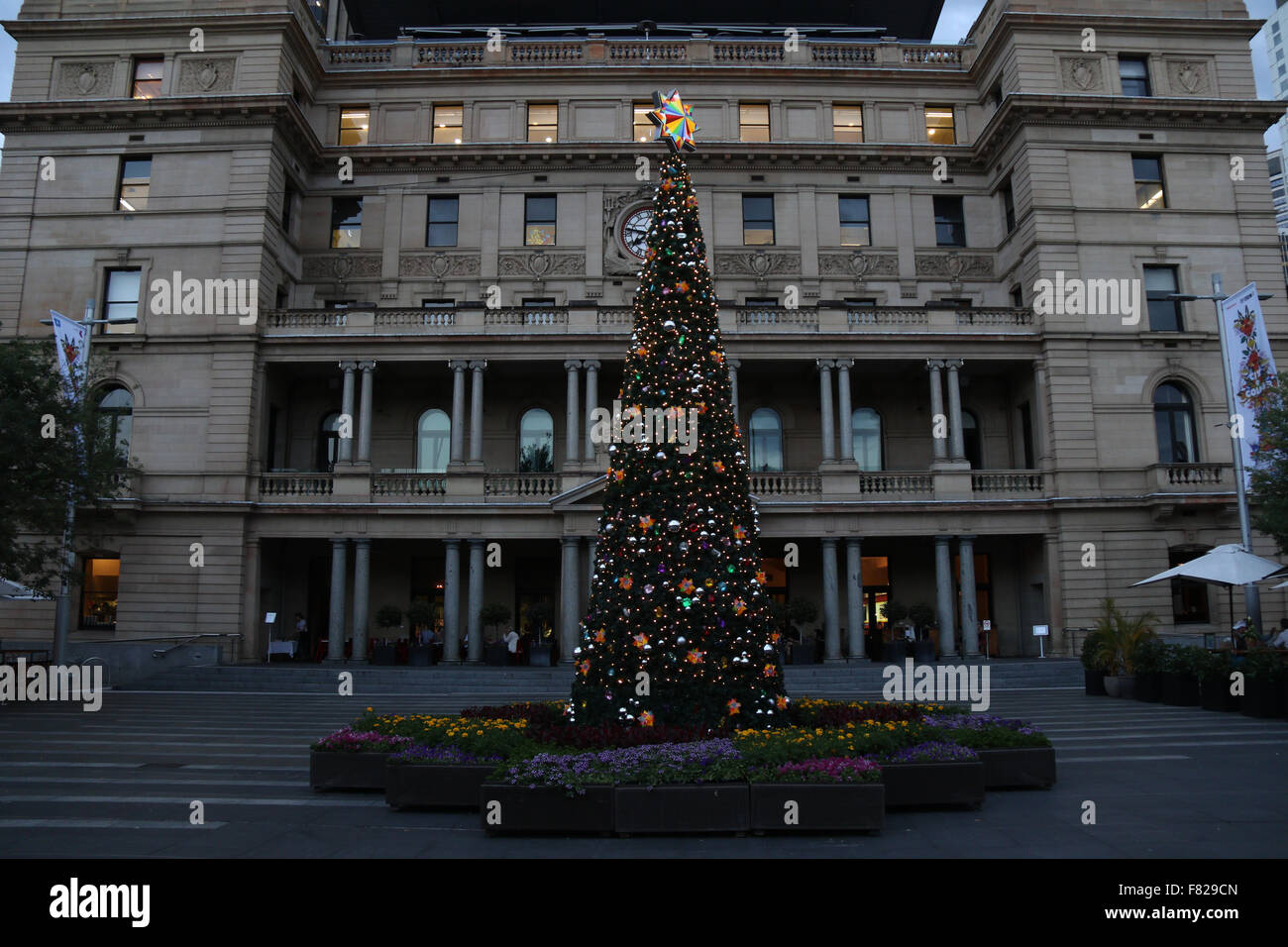 The Christmas Tree on Customs House forecourt at Circular Quay in ...