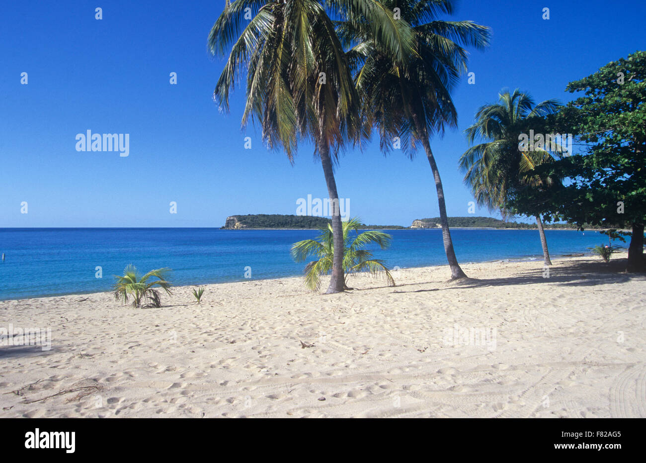 Sun Bay Beach, Vieques Island, Puerto Rico Stock Photo - Alamy