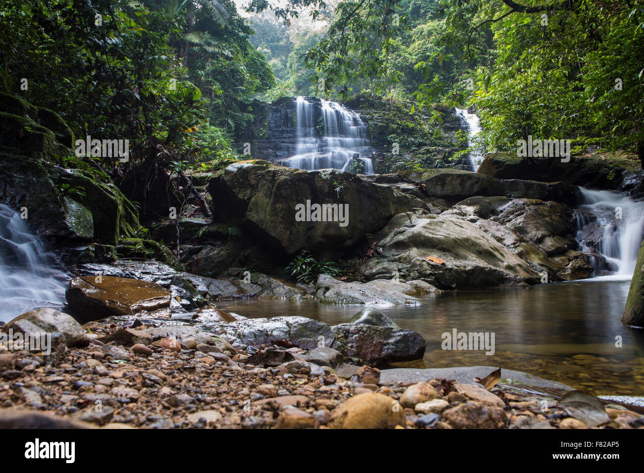 Waterfall in Bornean rainforest Stock Photo - Alamy