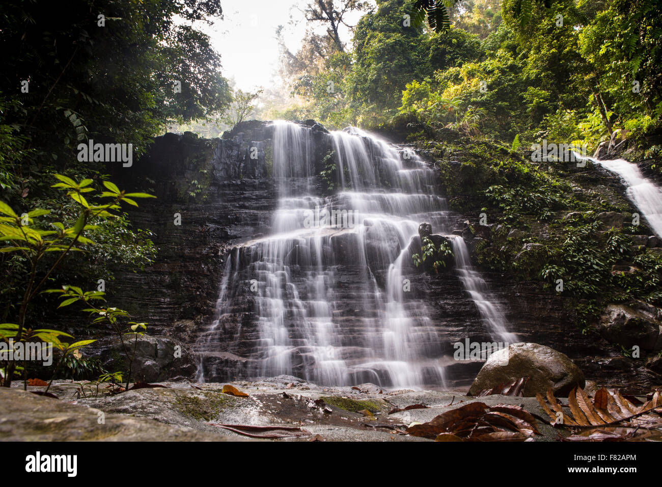 Waterfall in Bornean rainforest Stock Photo - Alamy