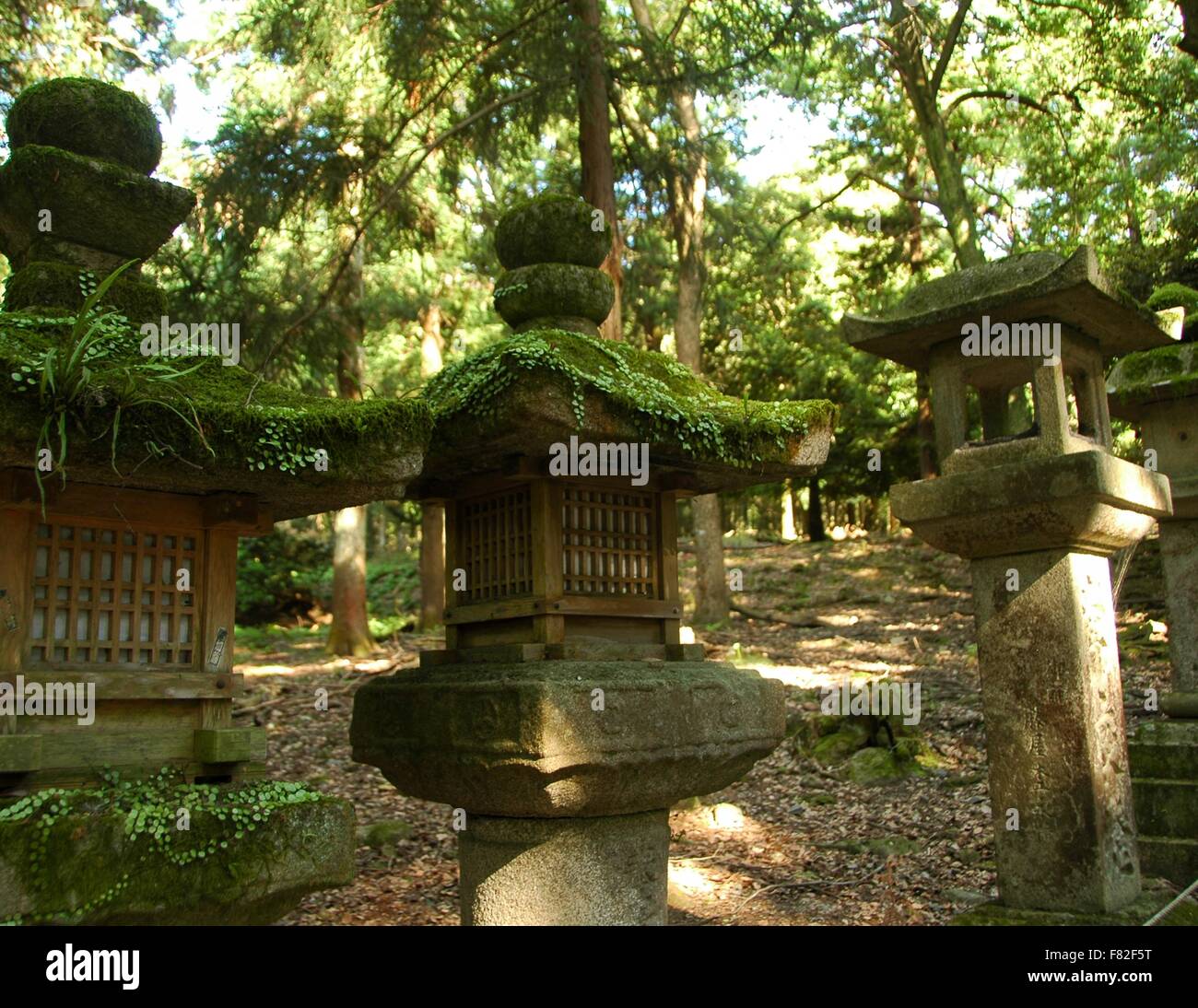 Near Kasuga Taisha (Kasuga Grand Shrine) in Nara, Japan Stock Photo - Alamy