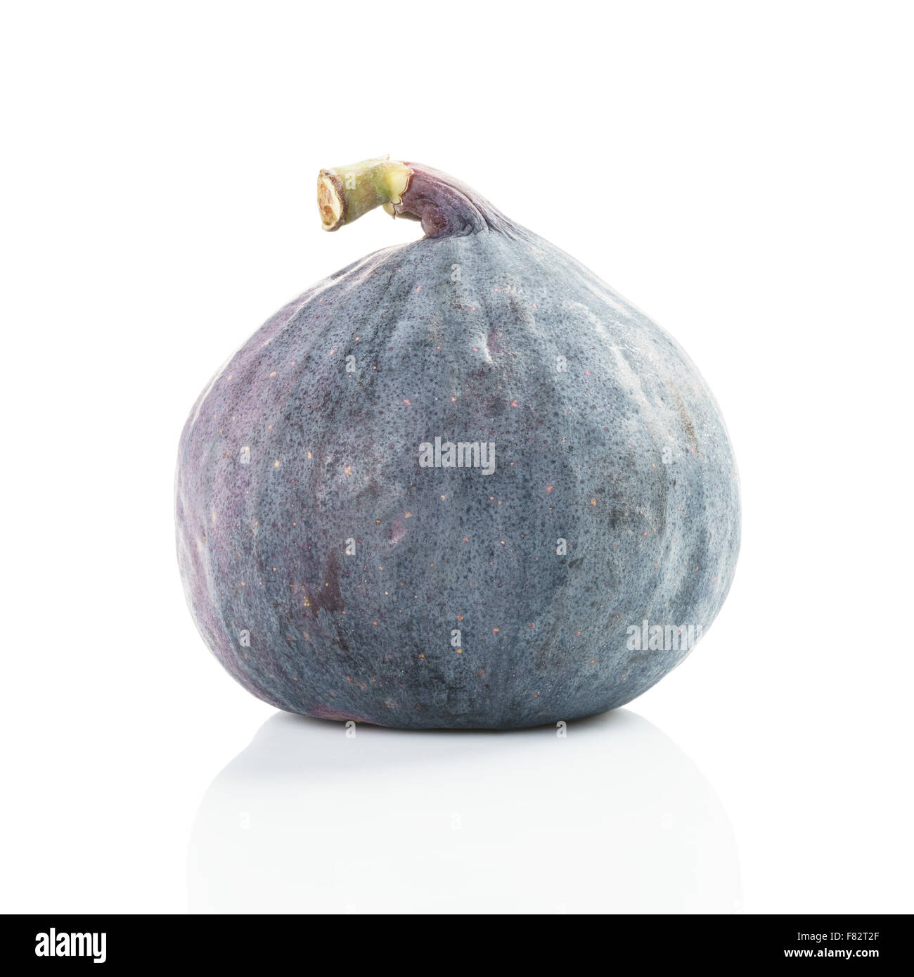 Single fig hi-res stock photography and images - Alamy