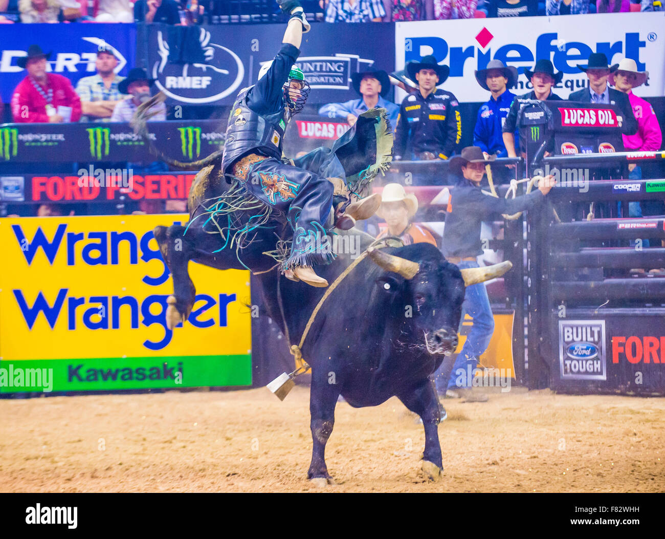 Cowboy Participating in the PBR bull riding world finals. The bull ...