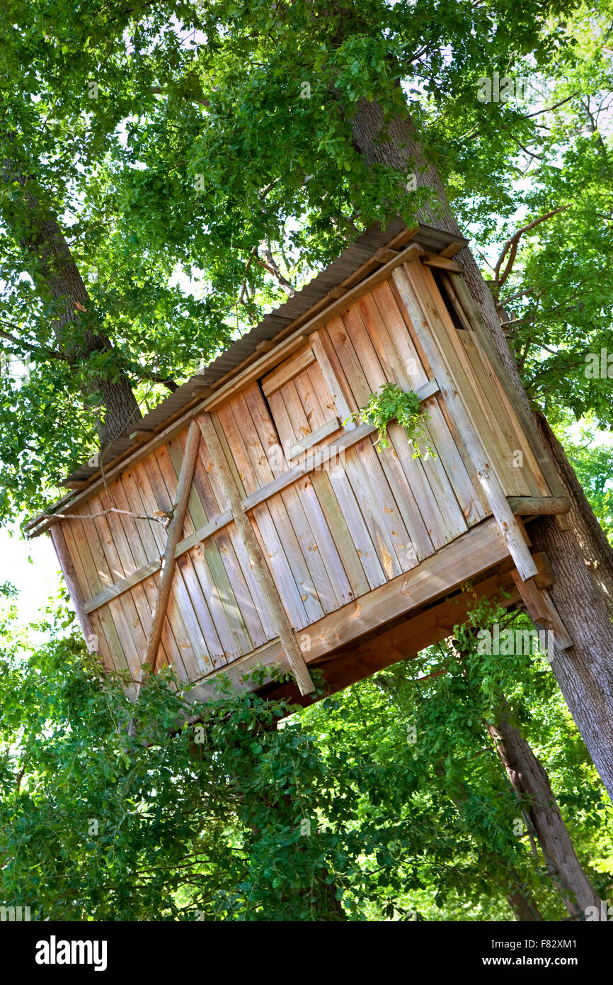 Wooden hut built on oaks in a park Stock Photo - Alamy