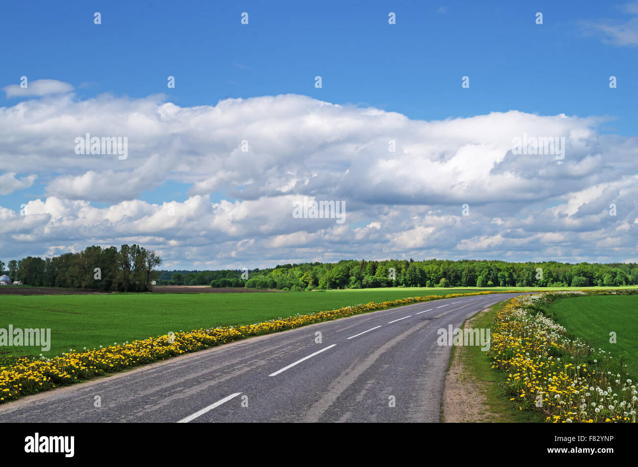 Asphalt road through spring field with dandelions Stock Photo - Alamy