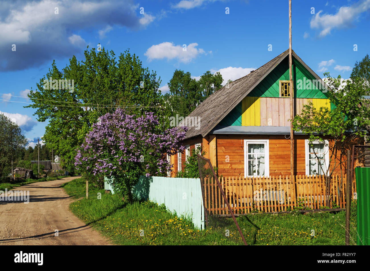 Village landscape.Old wooden house and lilac bushes in village Stock ...