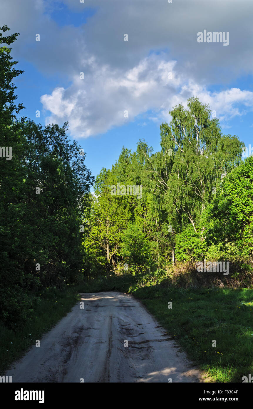 Road to forest Stock Photo - Alamy