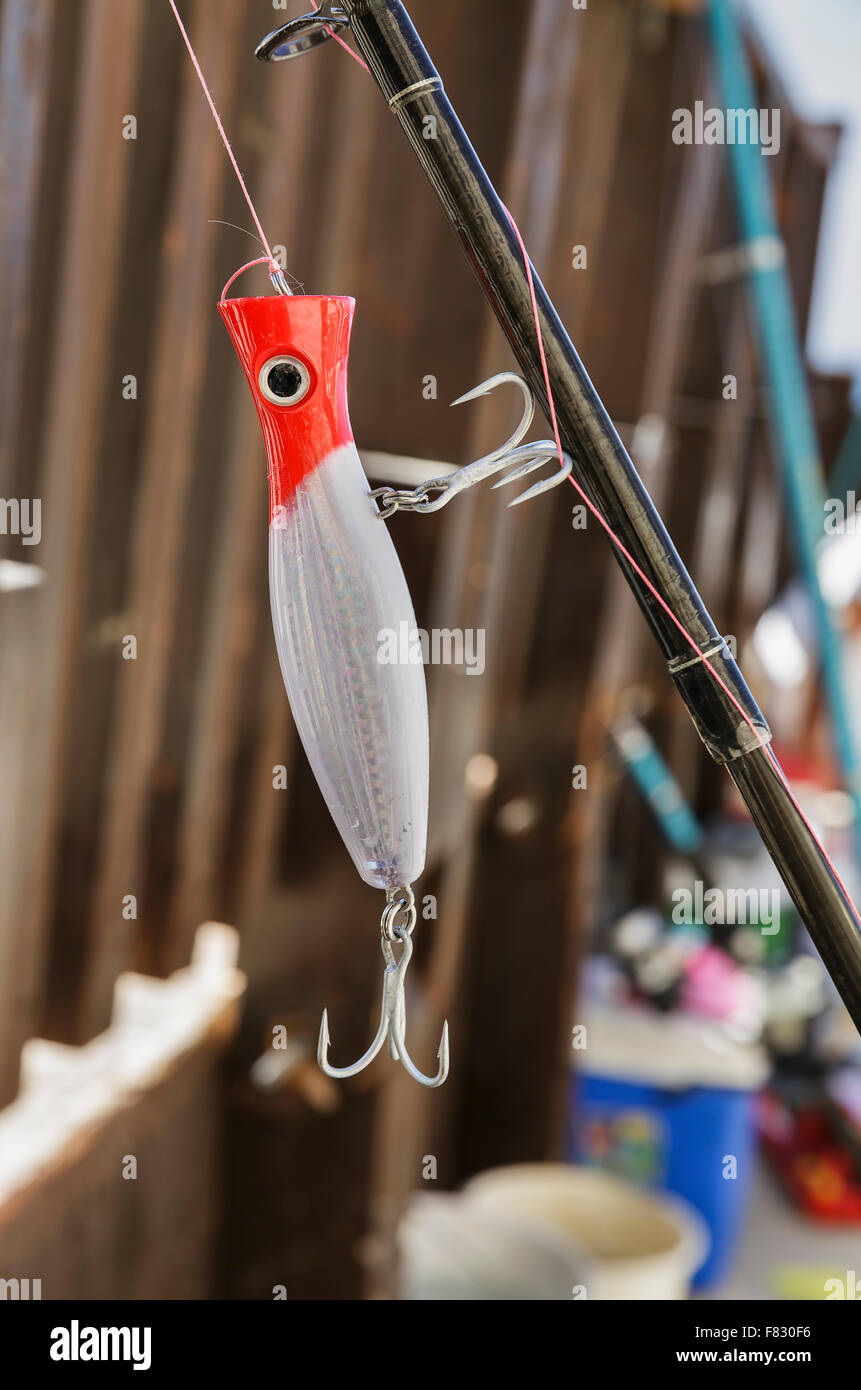 Bait sea fishing hi-res stock photography and images - Alamy