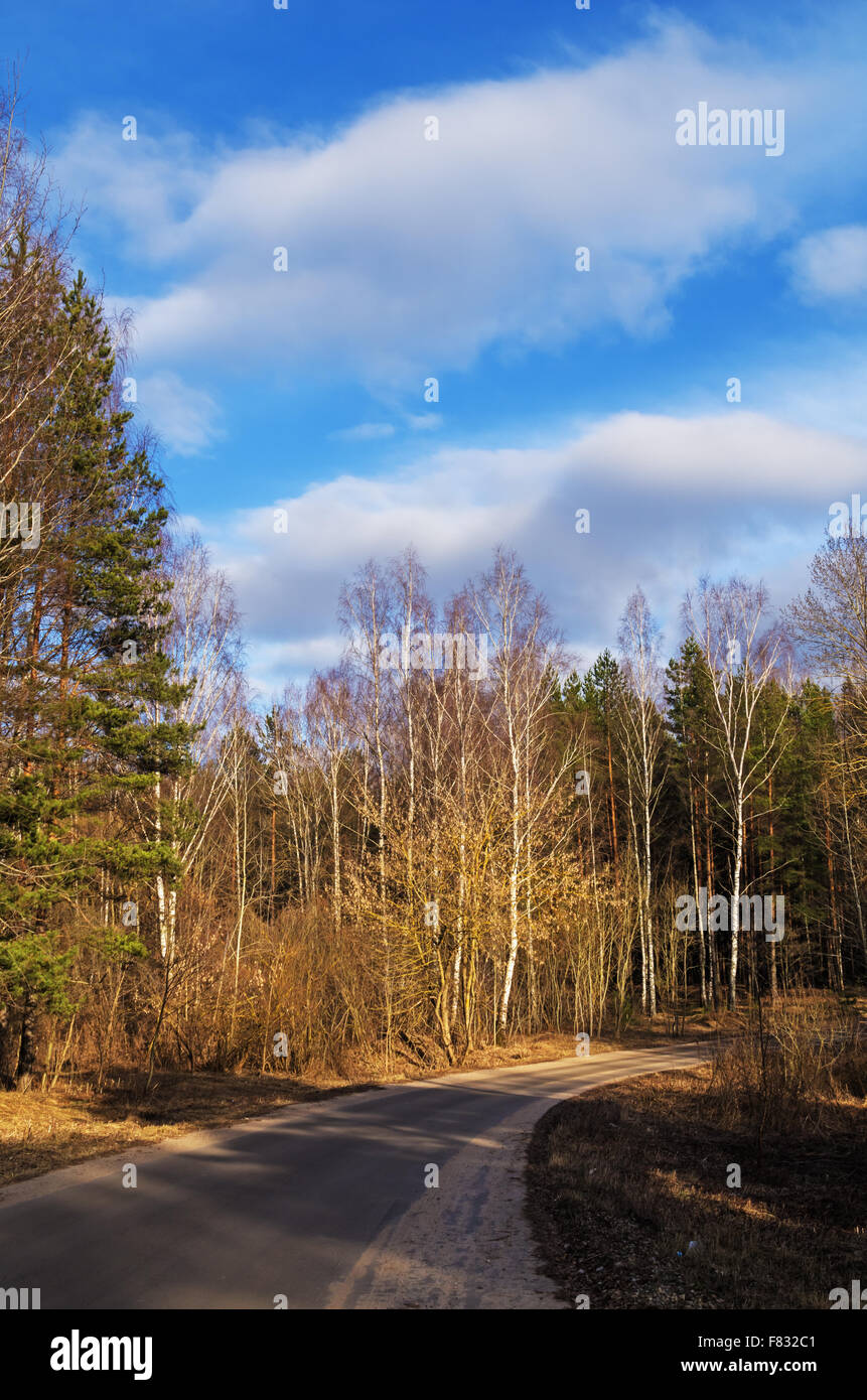 Spring sunny asphalt road Stock Photo - Alamy