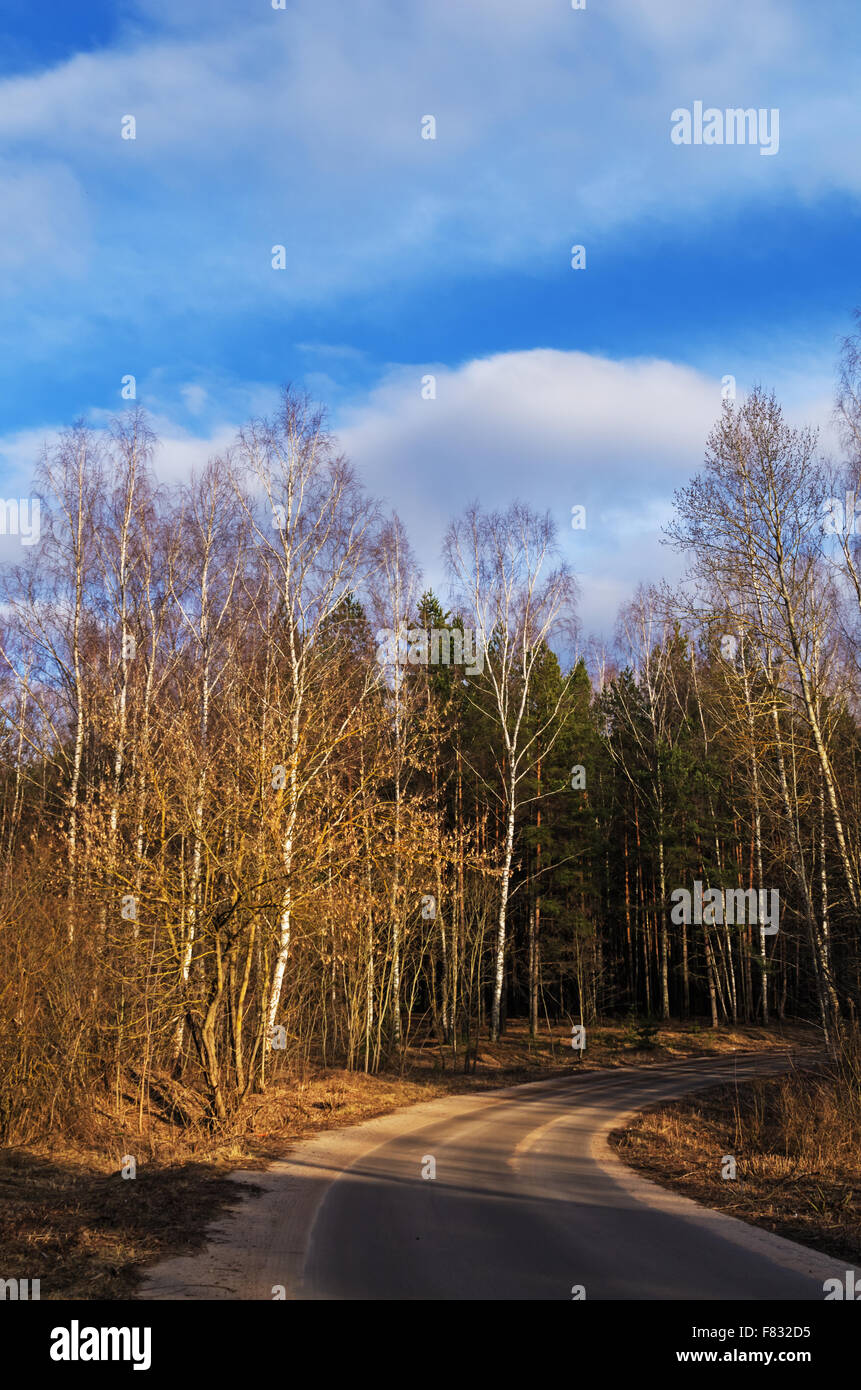 Spring sunny asphalt road Stock Photo - Alamy