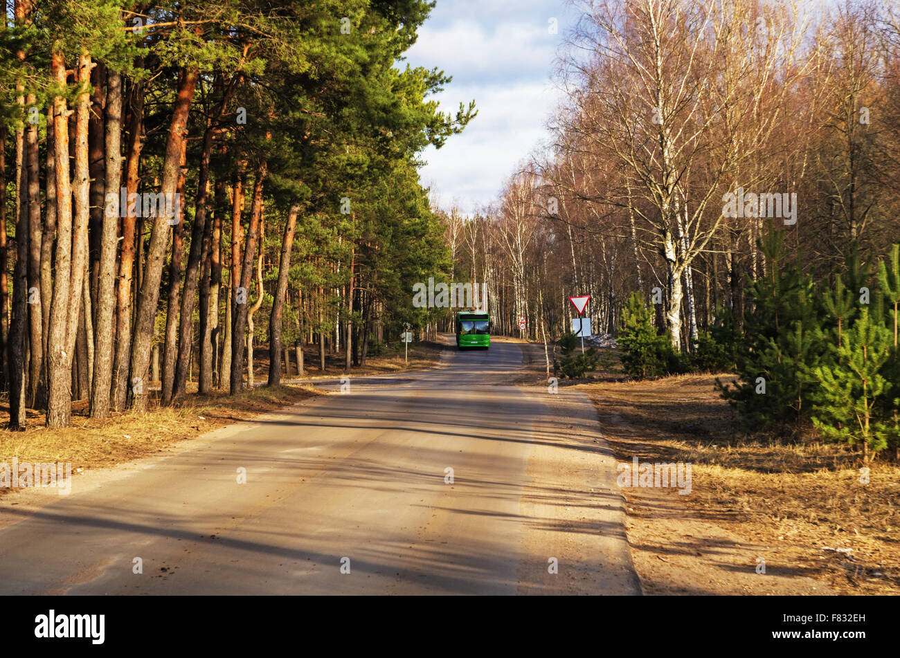 Spring sunny asphalt road with bus Stock Photo - Alamy
