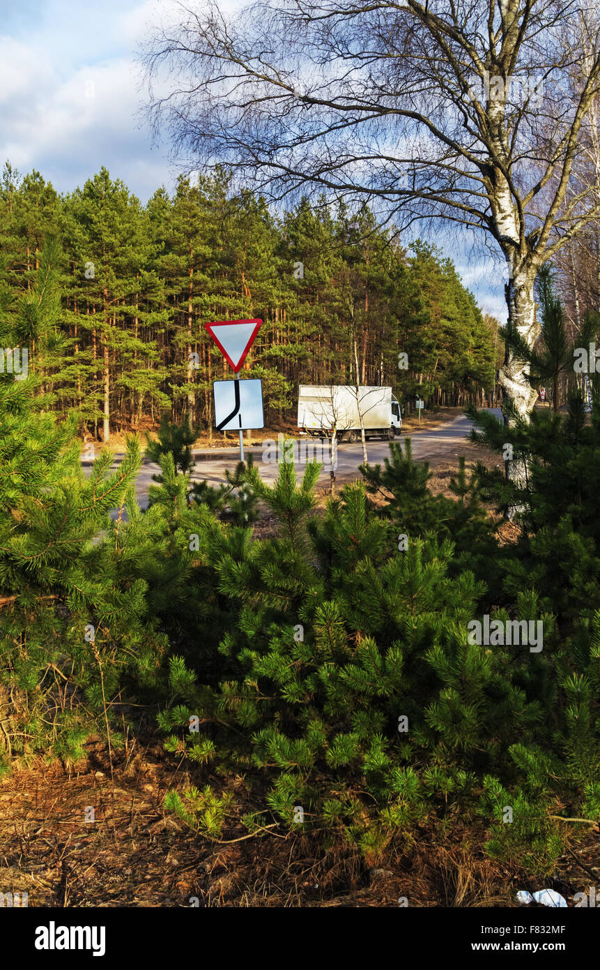 Spring sunny asphalt road with car Stock Photo - Alamy