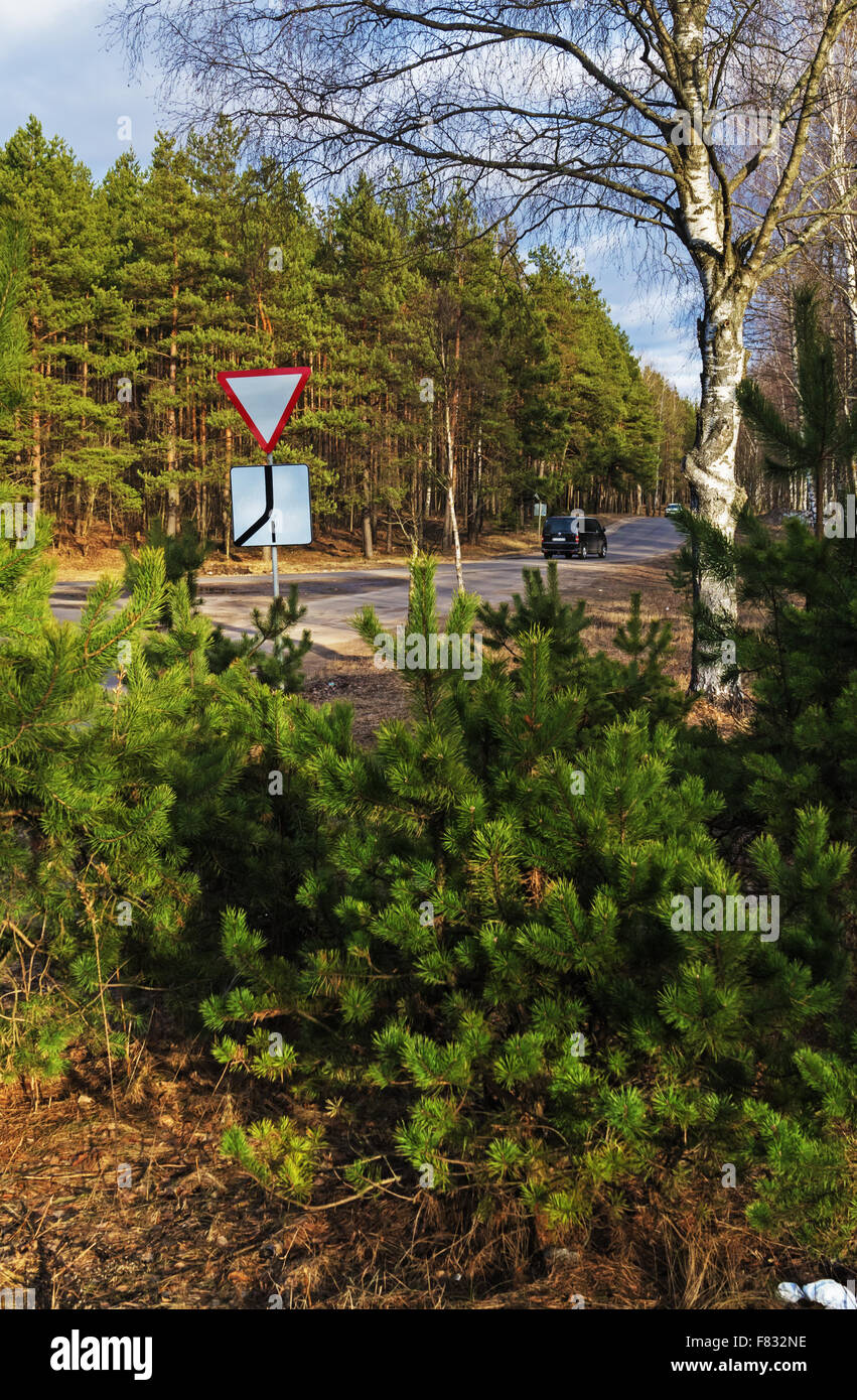 Spring sunny asphalt road with car Stock Photo - Alamy