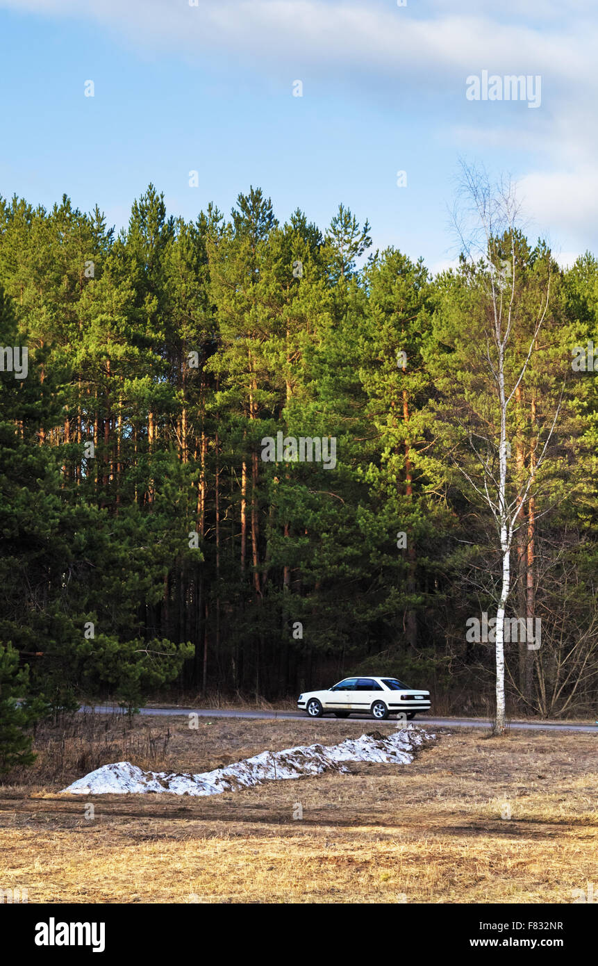 Spring forest landscape with snow, road, car and pines Stock Photo - Alamy