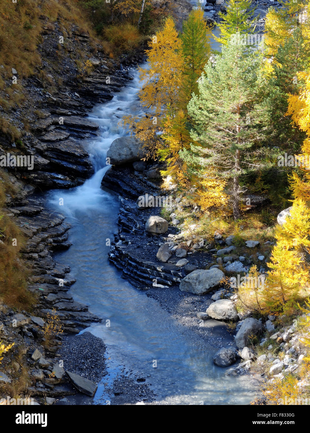 River during Fall with larch Stock Photo - Alamy