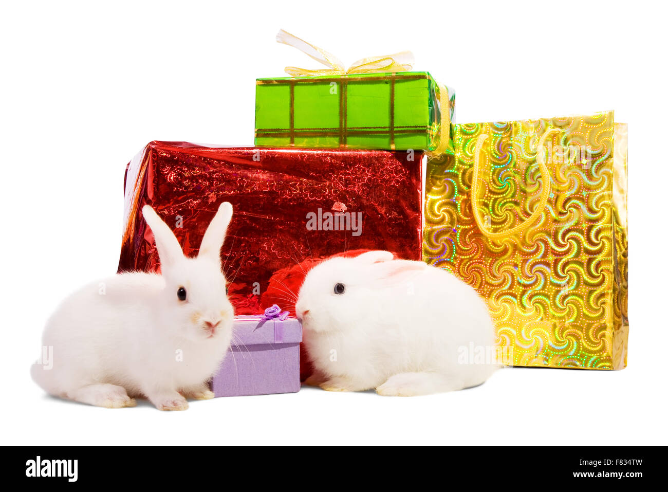 Two white rabbits with gifts. Isolated on white background Stock Photo ...
