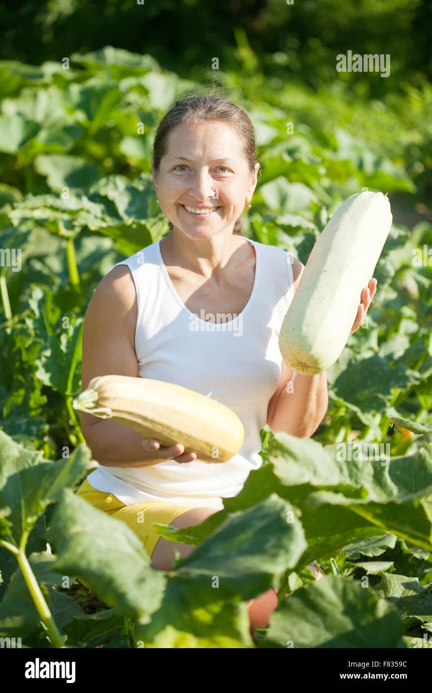 Mature woman picking vegetable marrow in field Stock Photo - Alamy