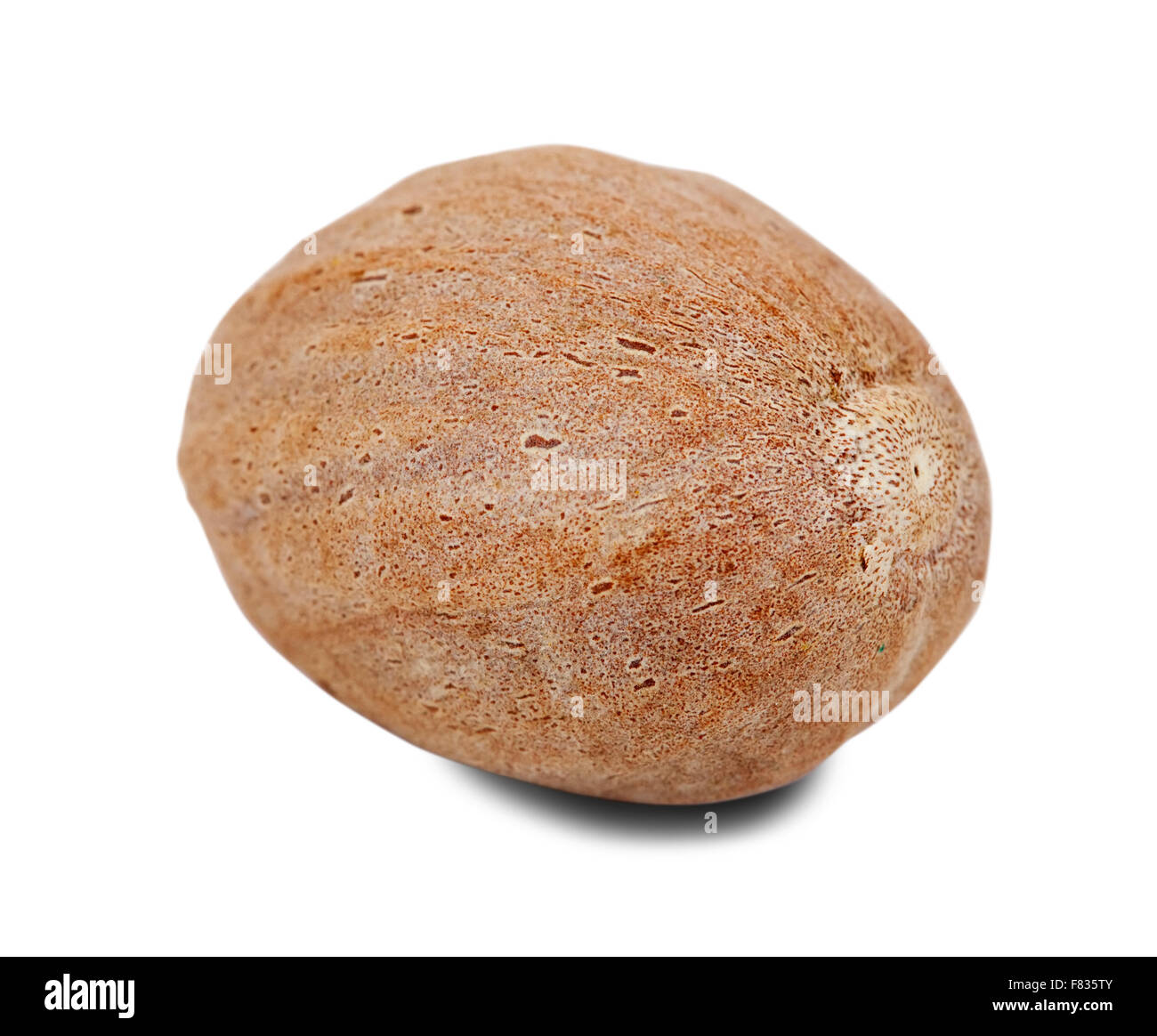 One full nutmeg. Isolated on white background Stock Photo - Alamy