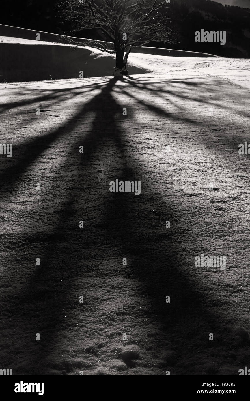 Shadow patterns hi-res stock photography and images - Alamy