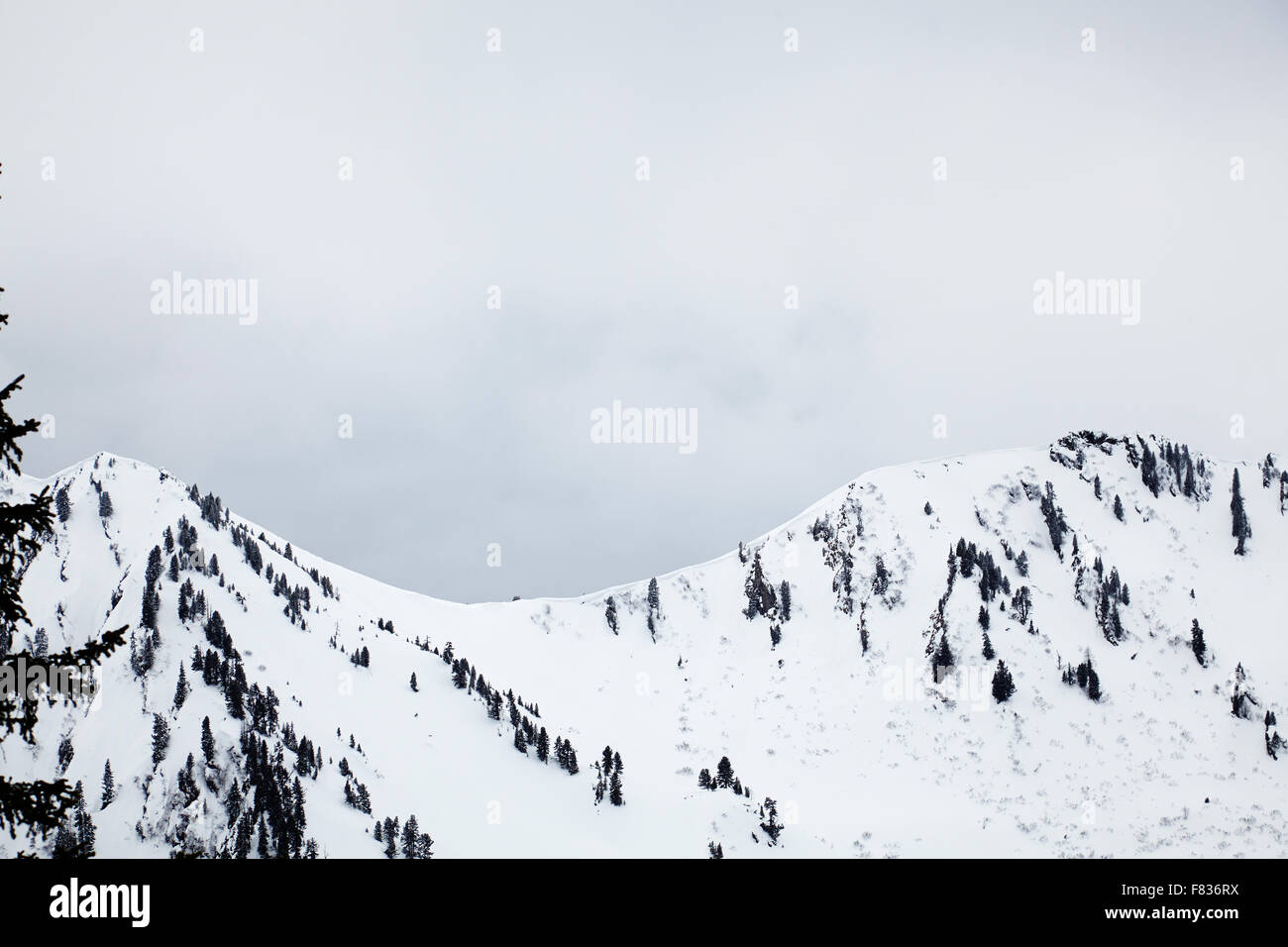 snow covered mountain ridge near Riesneralm, Donnersbachwald ...