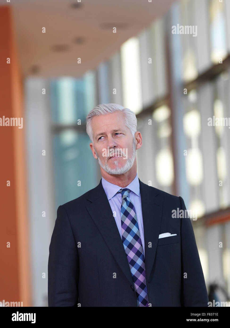 portrait of senior business man with grey beard and hair alone i modern ...
