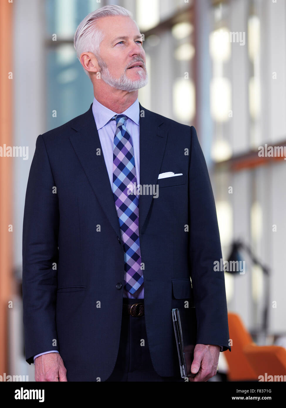 portrait of senior business man with grey beard and hair alone i modern ...