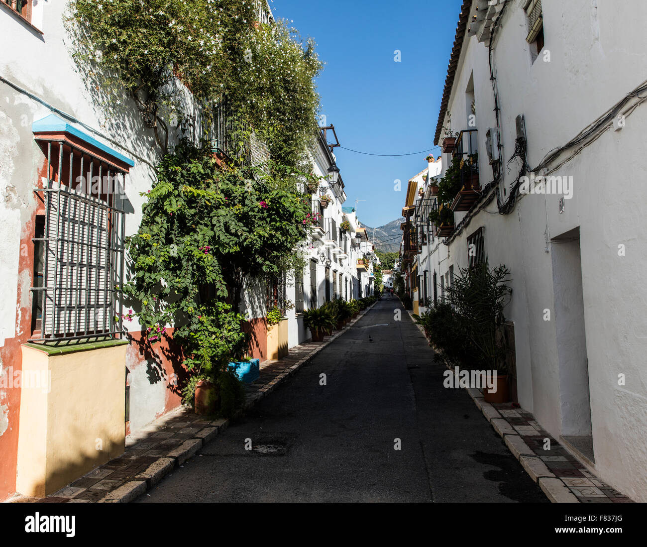 Typical Spanish street with white walls and flowers and greenery on the ...