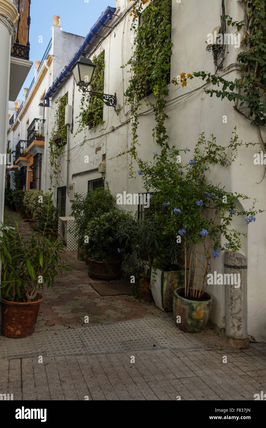 Typical Spanish street with white walls and flowers in pots and on the ...