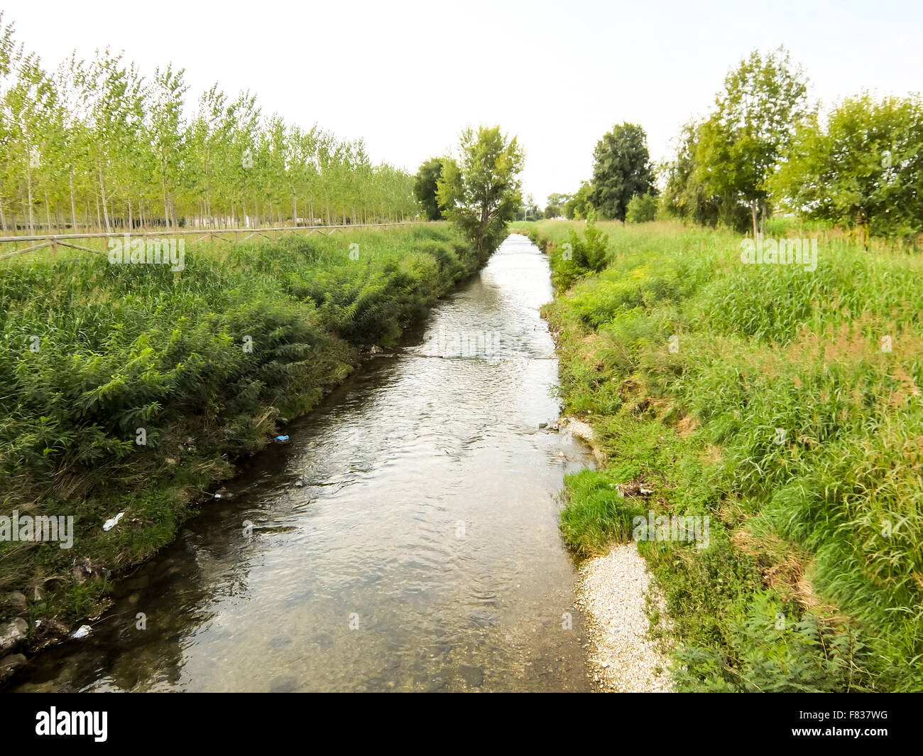 Wild Brenta River Stock Photo - Alamy