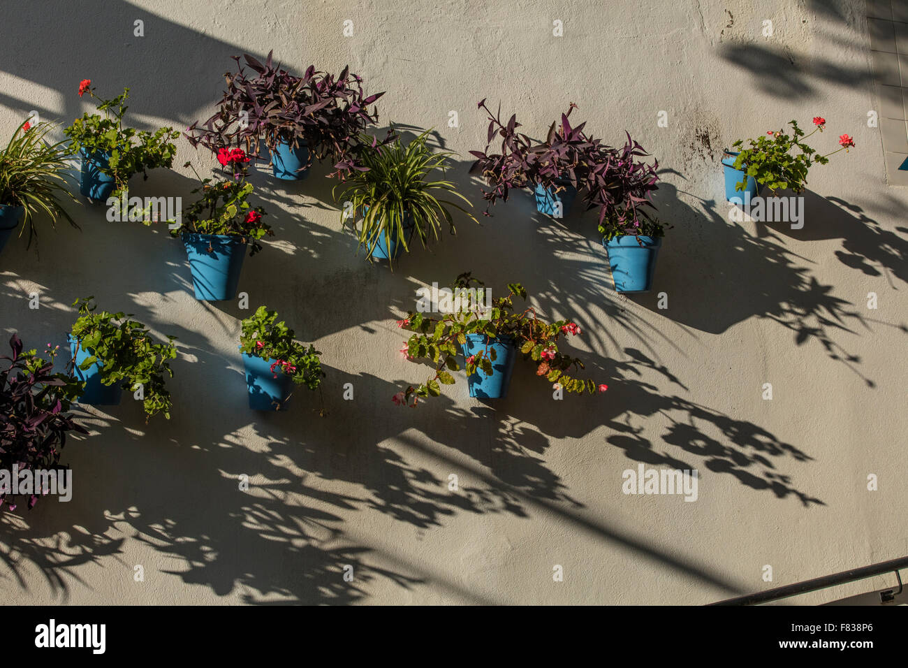 Flowers in blue plant pots on a white wall in Old Marbella with lots of ...