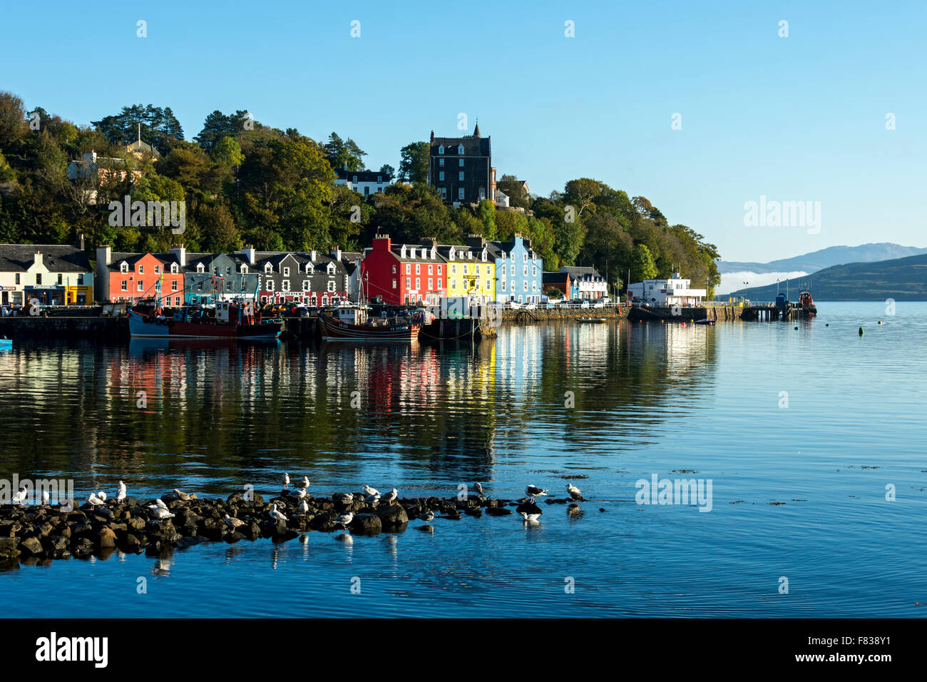 Tobermory hi-res stock photography and images - Alamy