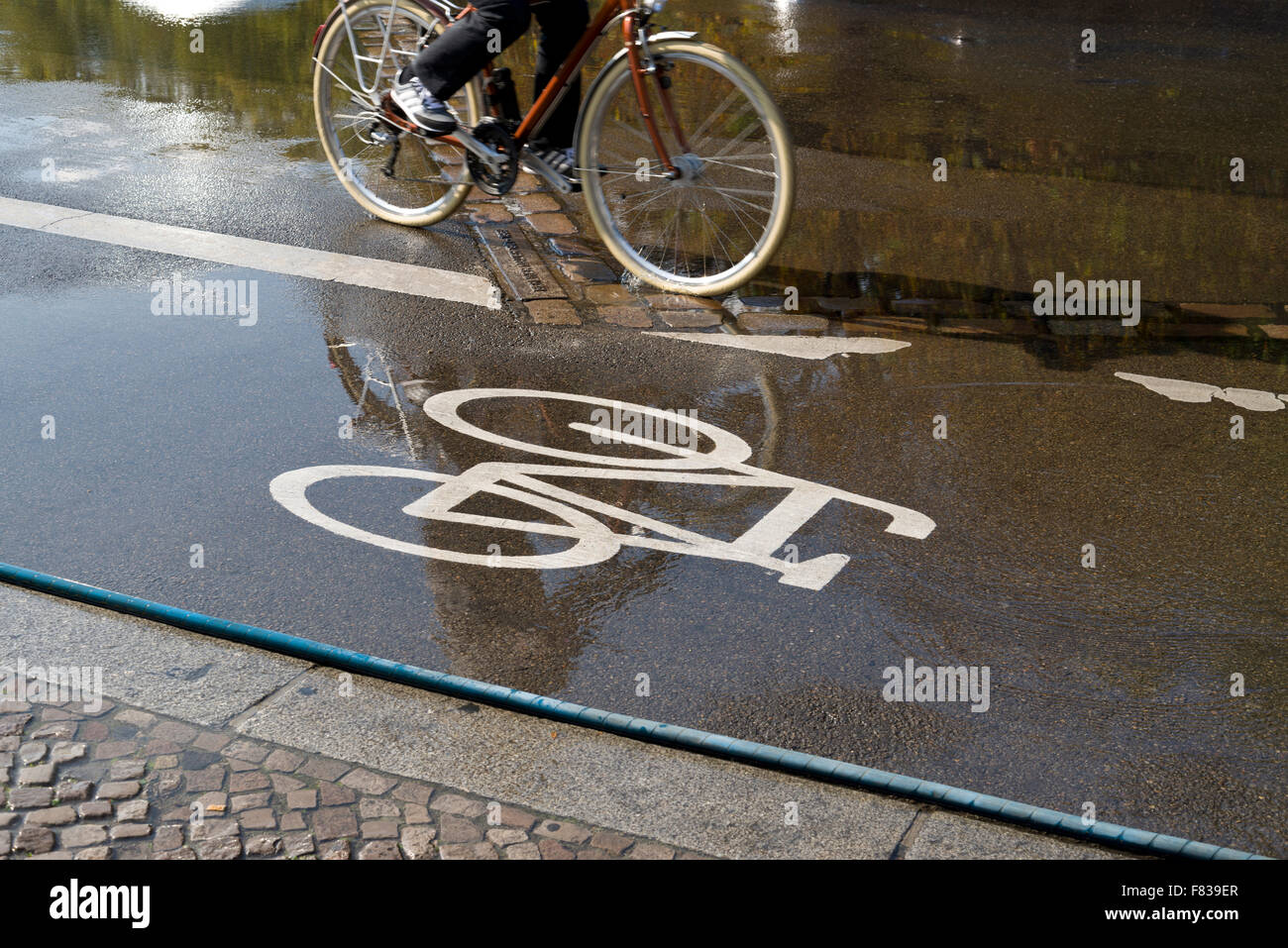 Bicycles in a marked bicycle lane in Berlin, Germany. Segregation of ...