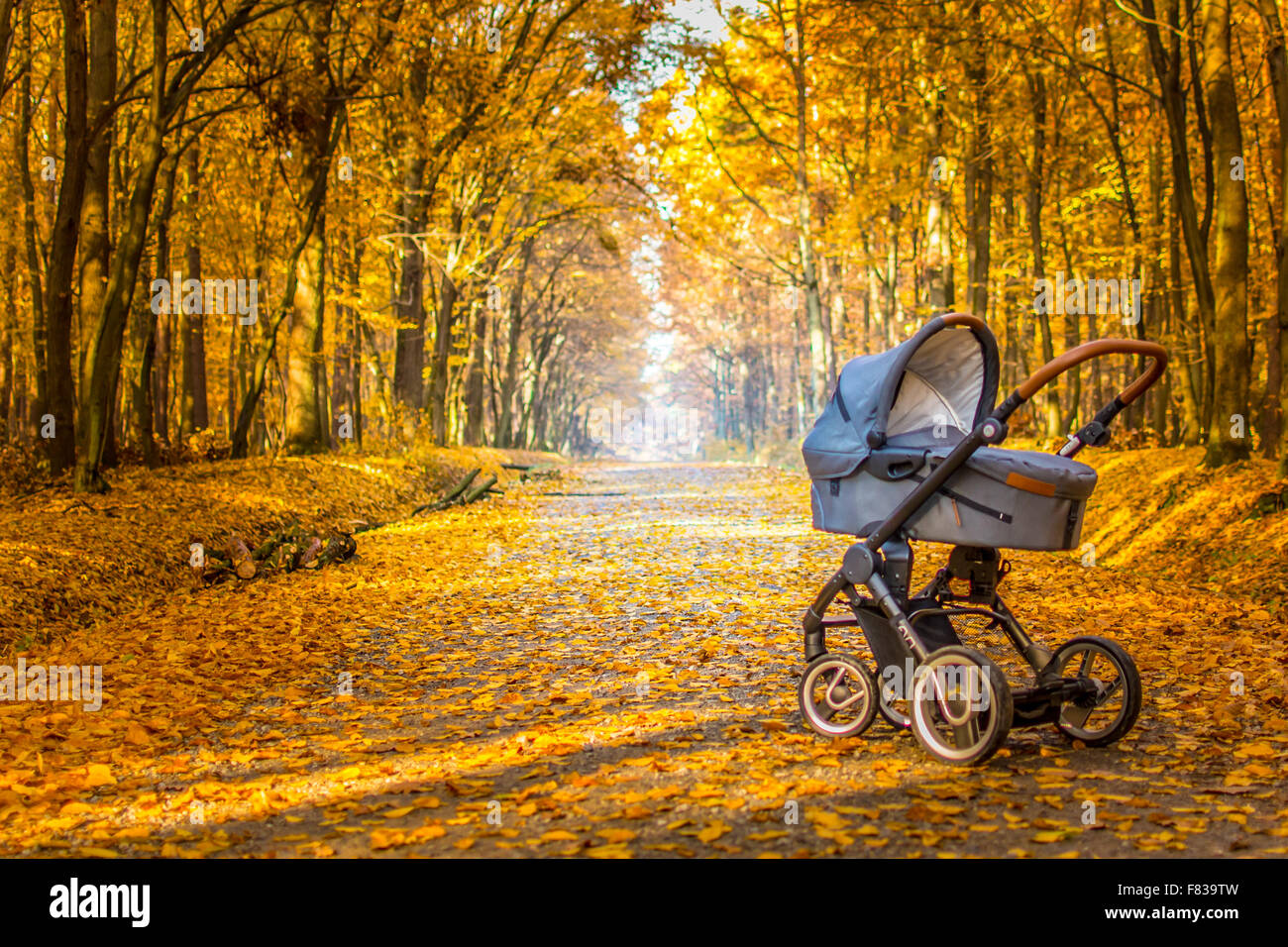 Stroller in wood Stock Photo - Alamy