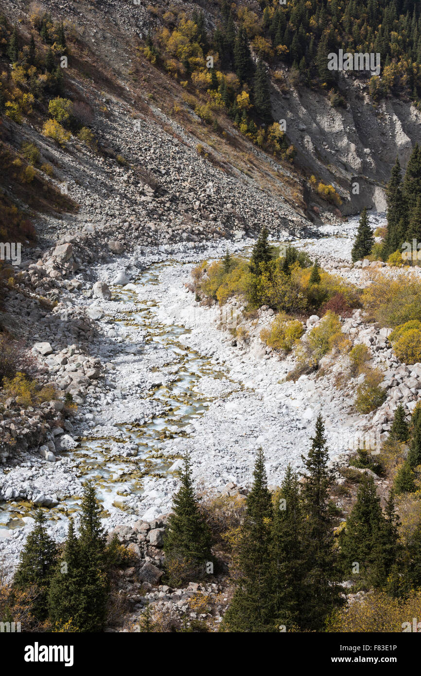 The panorama of mountain landscape of Ala-Archa gorge in the summer's ...