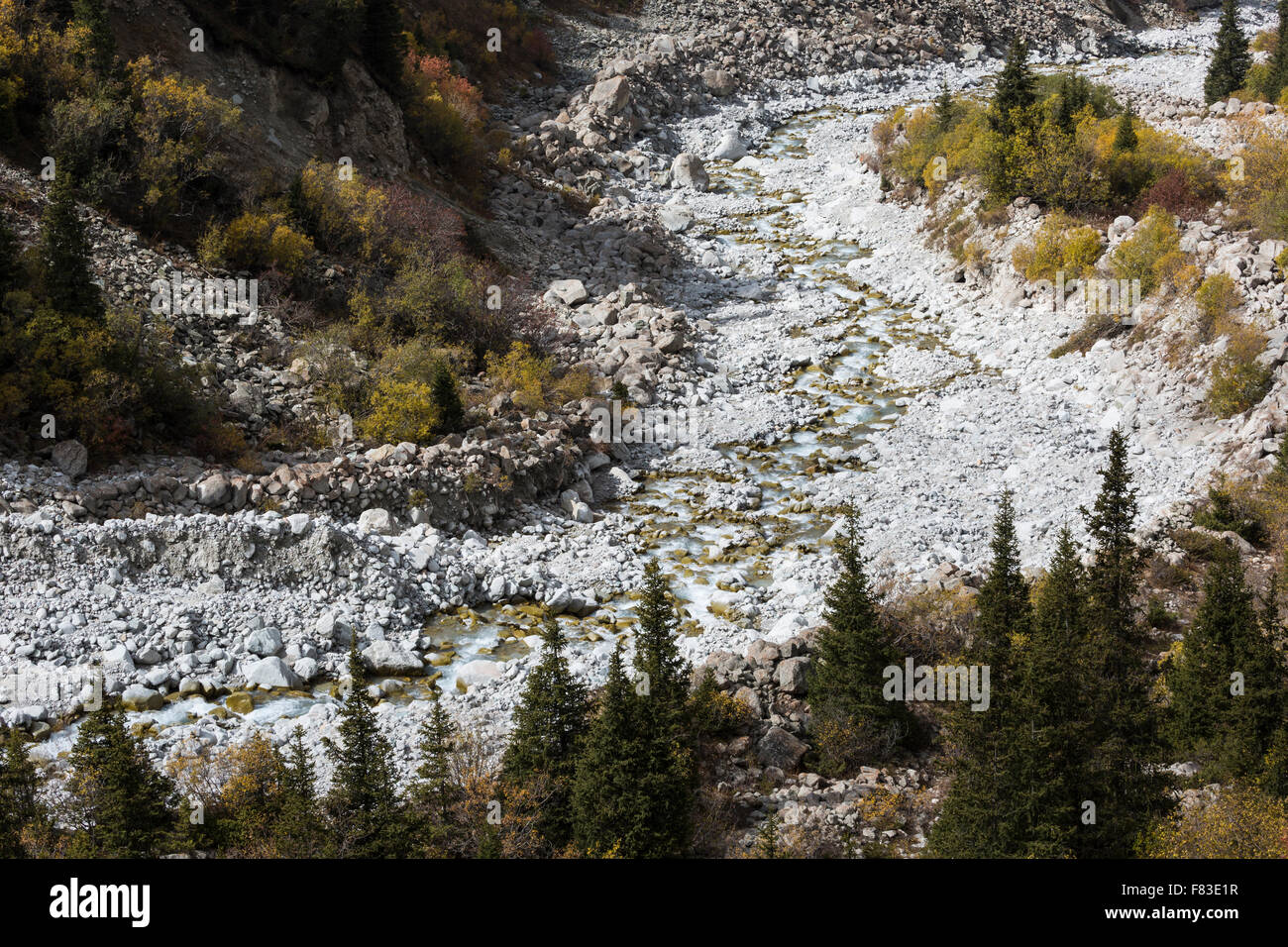 The panorama of mountain landscape of Ala-Archa gorge in the summer's ...