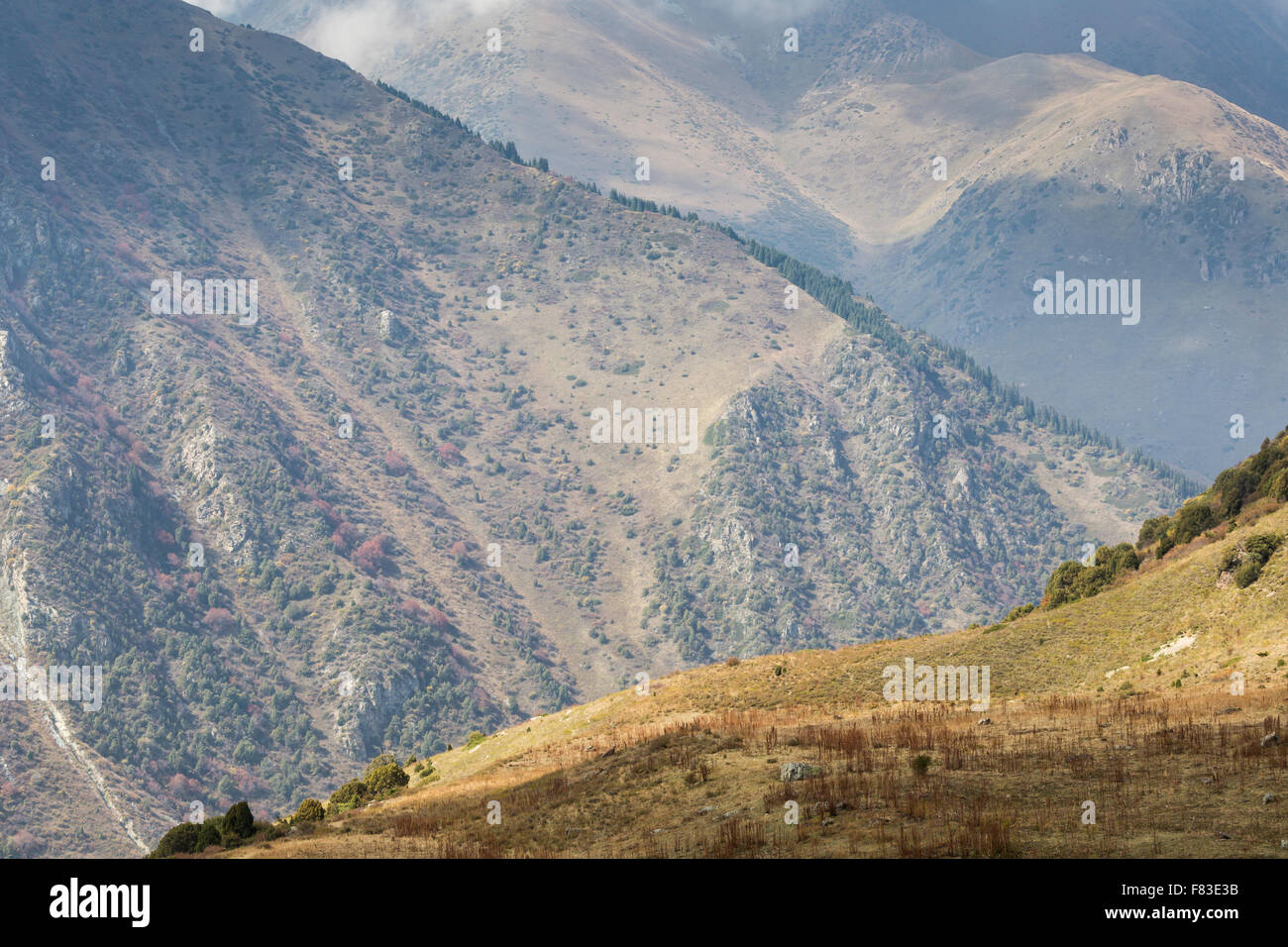 The panorama of mountain landscape of Ala-Archa gorge in the summer's ...