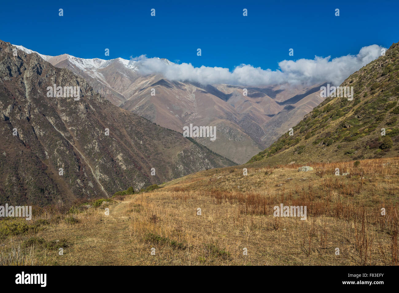 The panorama of mountain landscape of Ala-Archa gorge in the summer's ...