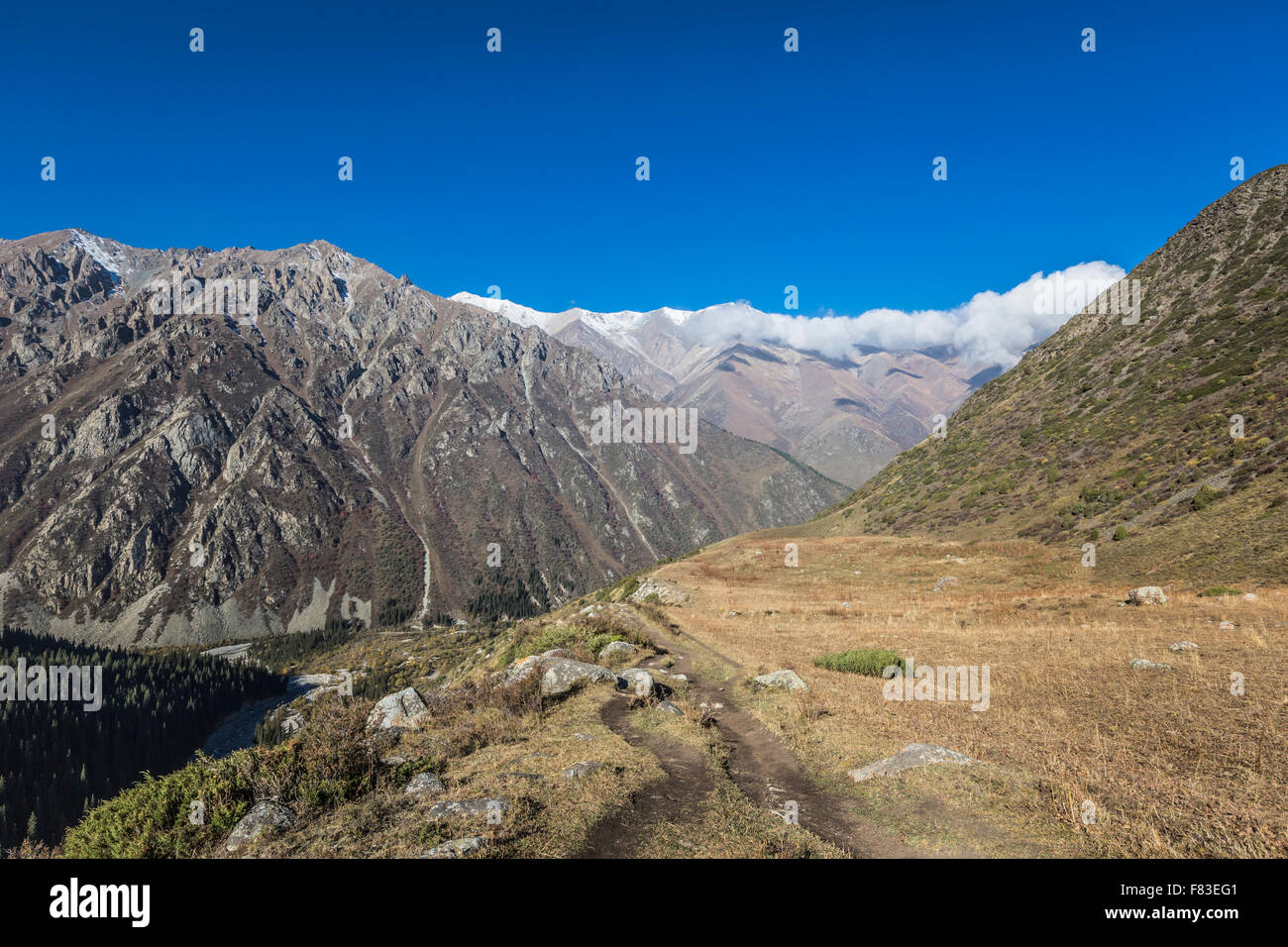 The panorama of mountain landscape of Ala-Archa gorge in the summer's ...
