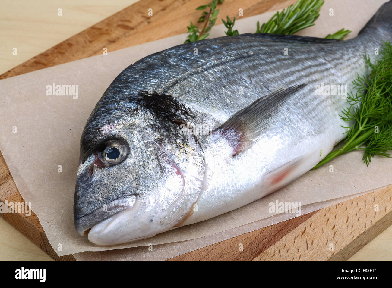 Raw dorado fish with dill, rosemary and thyme Stock Photo - Alamy