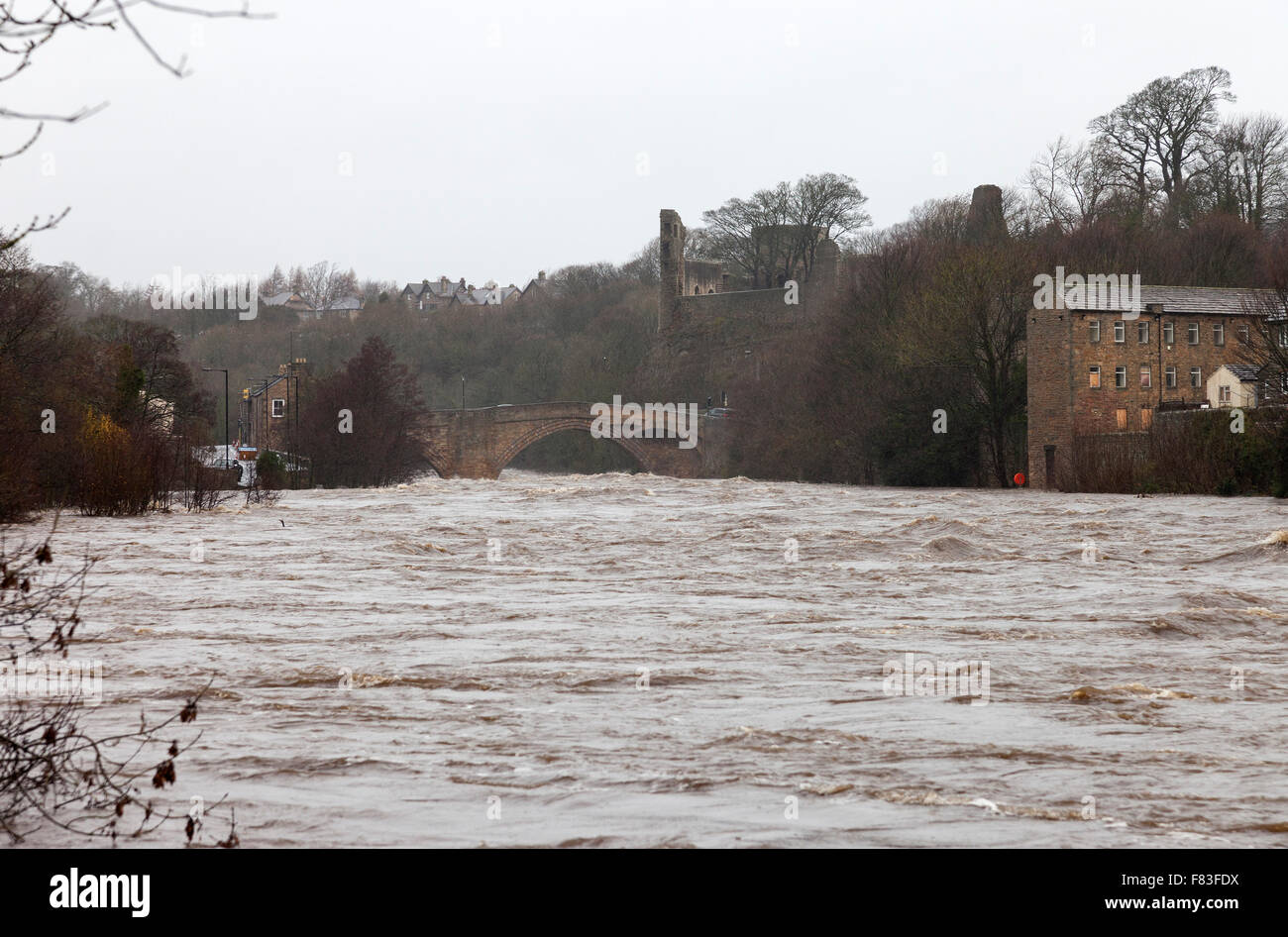 River flooding trees hi-res stock photography and images - Alamy