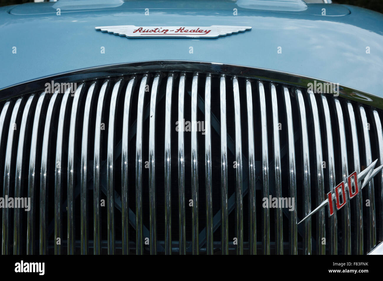 Austin Healey 100 Stock Photo - Alamy