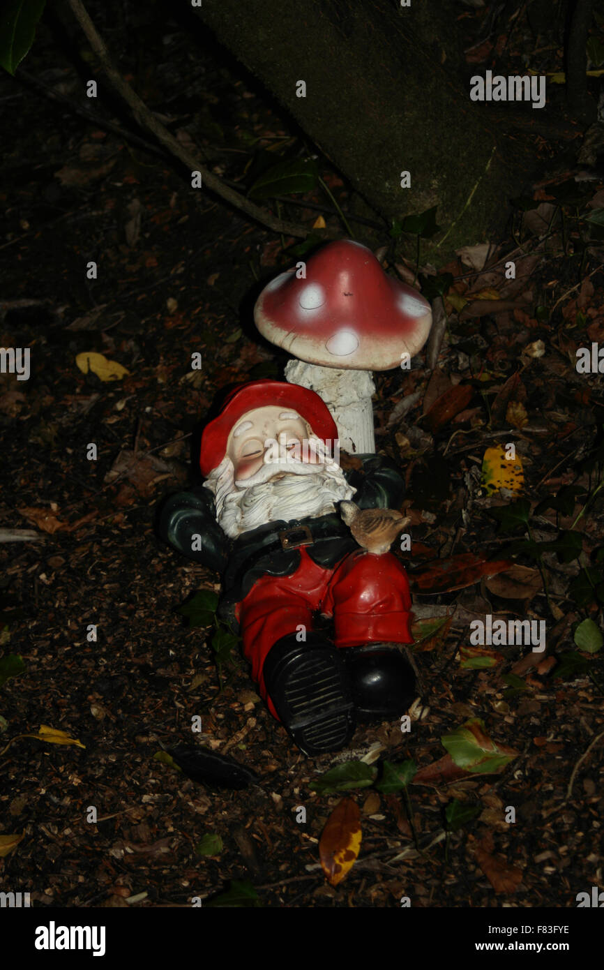 Gnome reserve and wildflower garden West Putford near Bradworthy North ...