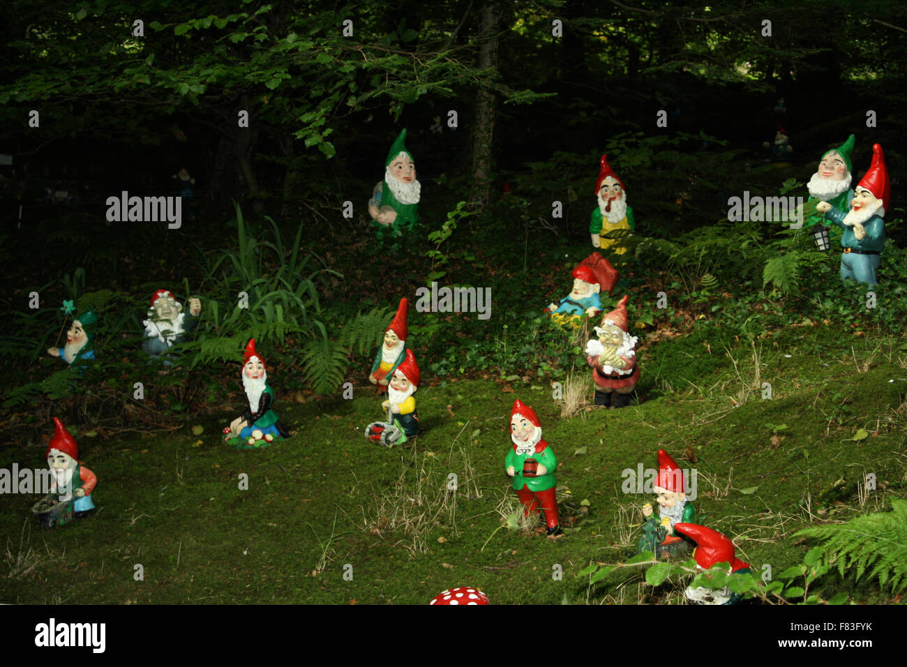Gnome reserve and wildflower garden West Putford near Bradworthy North ...