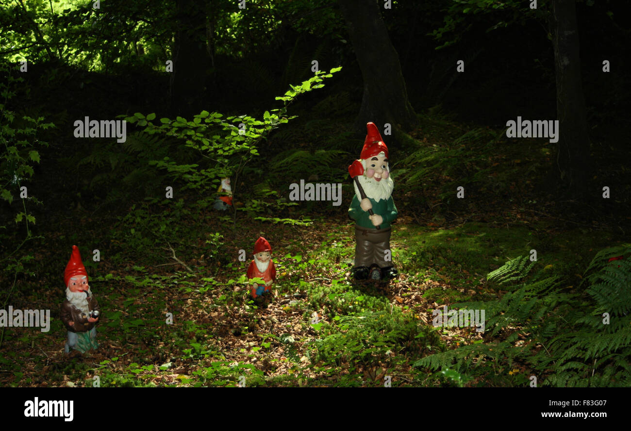 Gnome reserve and wildflower garden West Putford near Bradworthy North ...