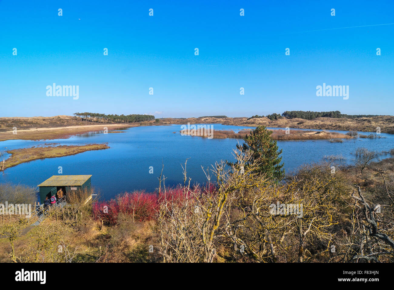Bird watching in Nature park The Biesbosch in the Netherlands Stock ...
