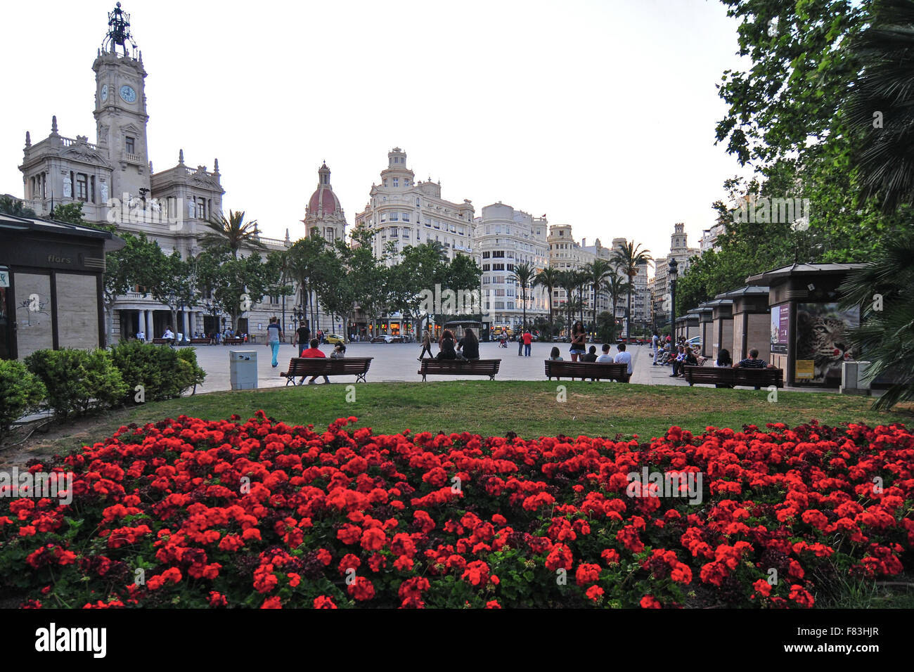 Roses square hi-res stock photography and images - Alamy