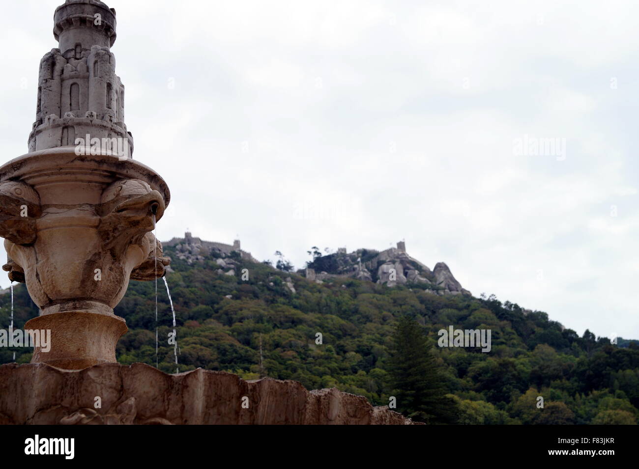 fountain in front of a forest Stock Photo - Alamy