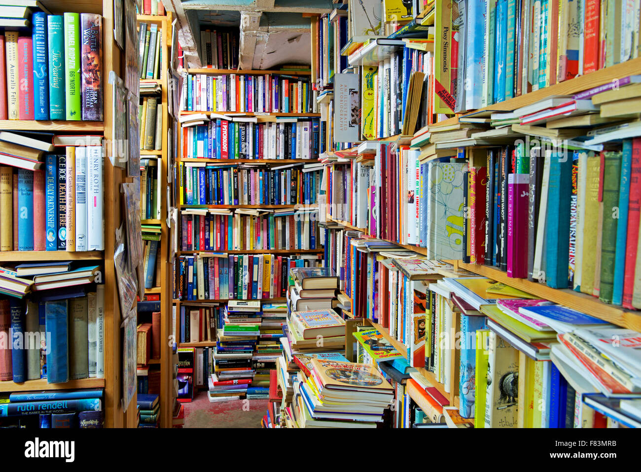 Interior of Camilla's Bookshop, Grove Road, Eastbourne, East Sussex ...